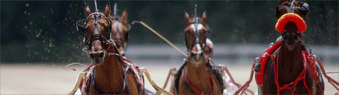 Live Racing Schedule - Grand River Raceway