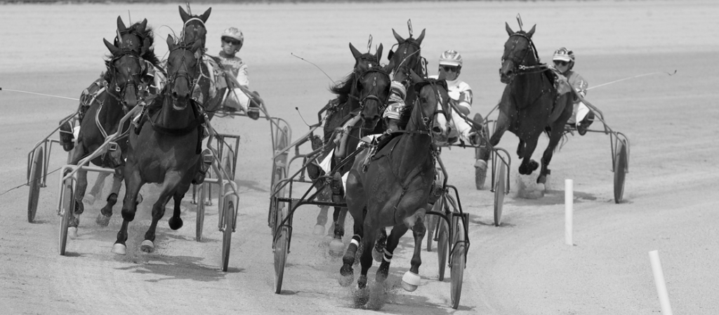 Programs - Grand River Raceway