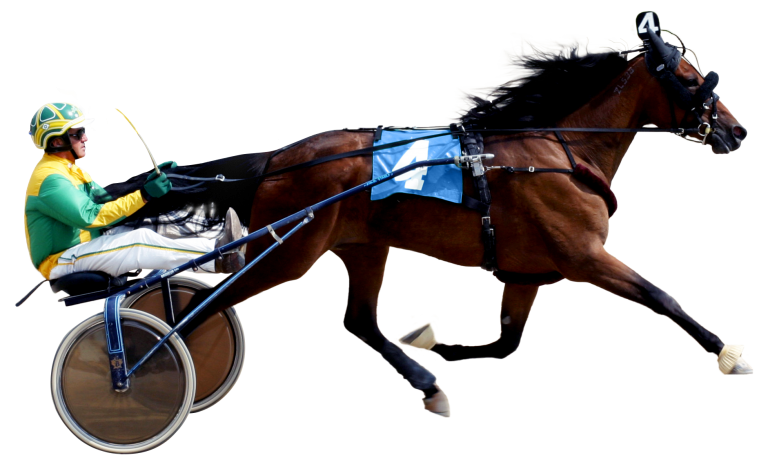 Home - Grand River Raceway