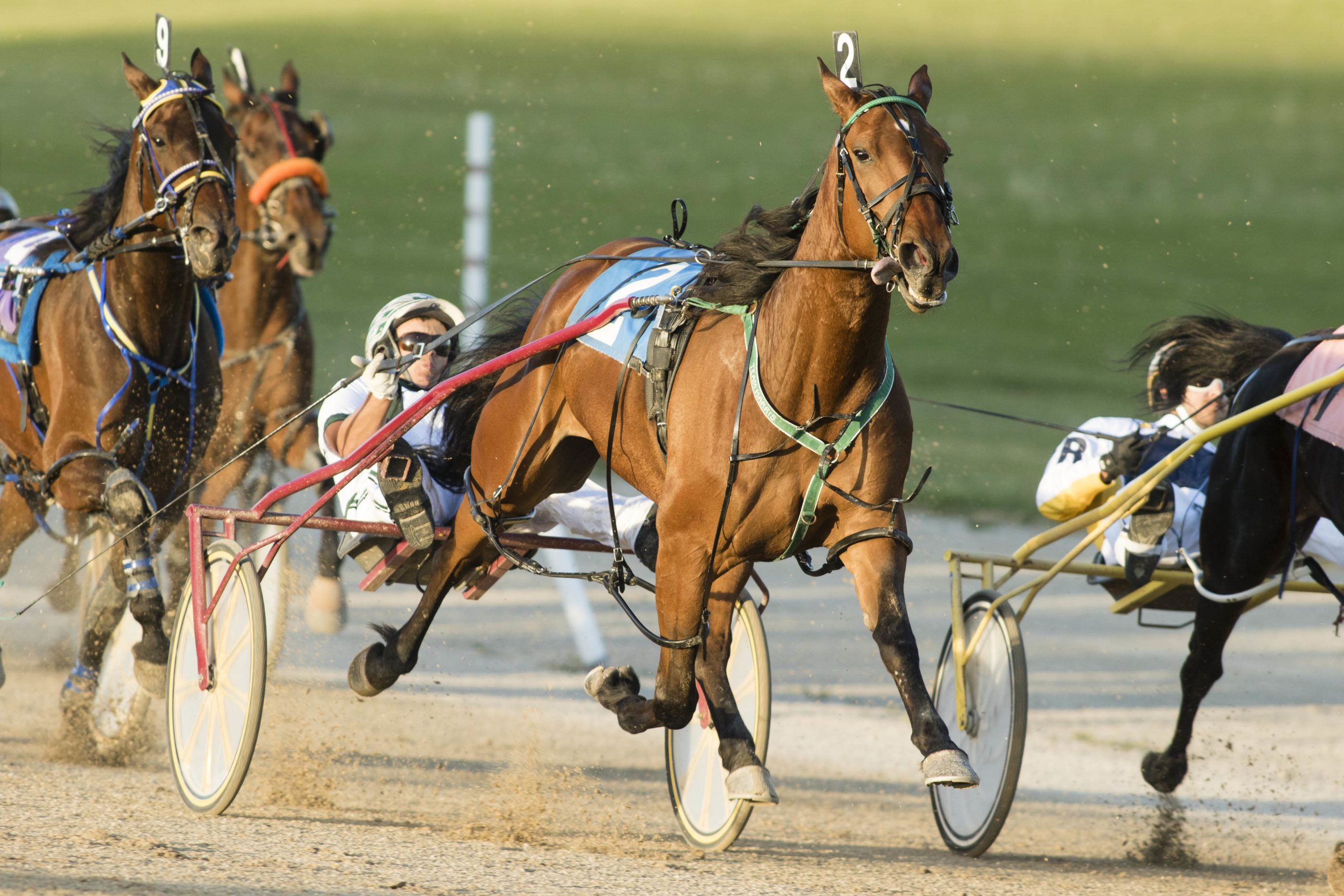 GRAND RIVER RACEWAY WELCOMES YOU BACK TO THE TRACK - Grand River Raceway
