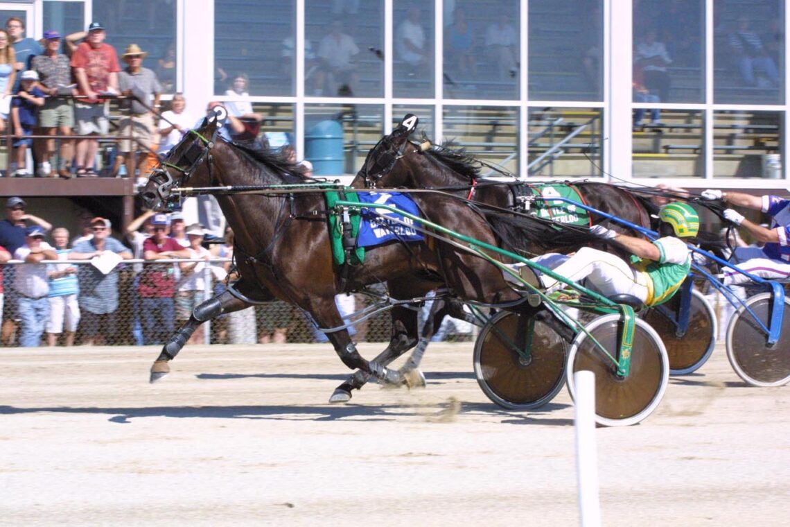 News - Grand River Raceway