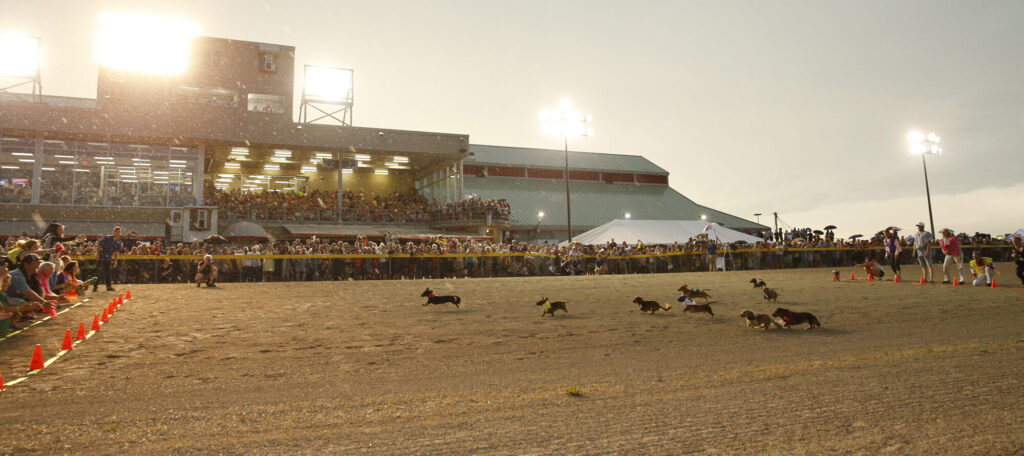 Grand River Raceway is getting ready for their most adorable race of ...