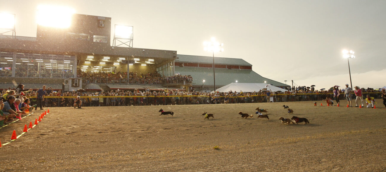 Grand River Raceway is getting ready for their most adorable race of ...