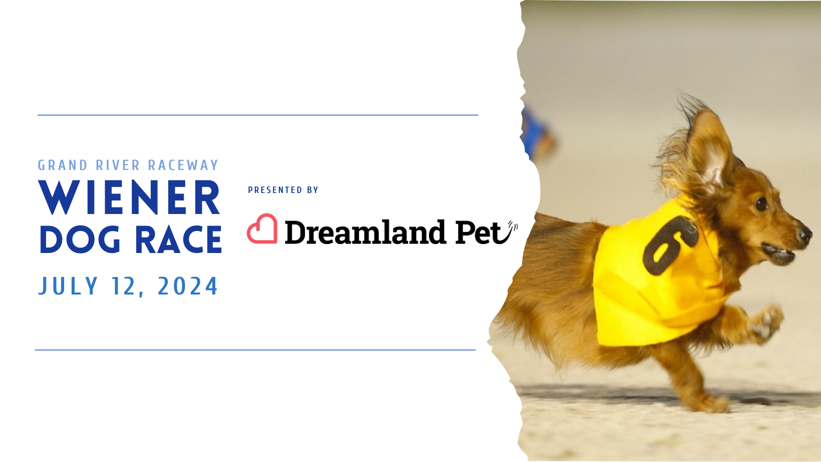 Wiener Dog Race 2024 - Grand River Raceway