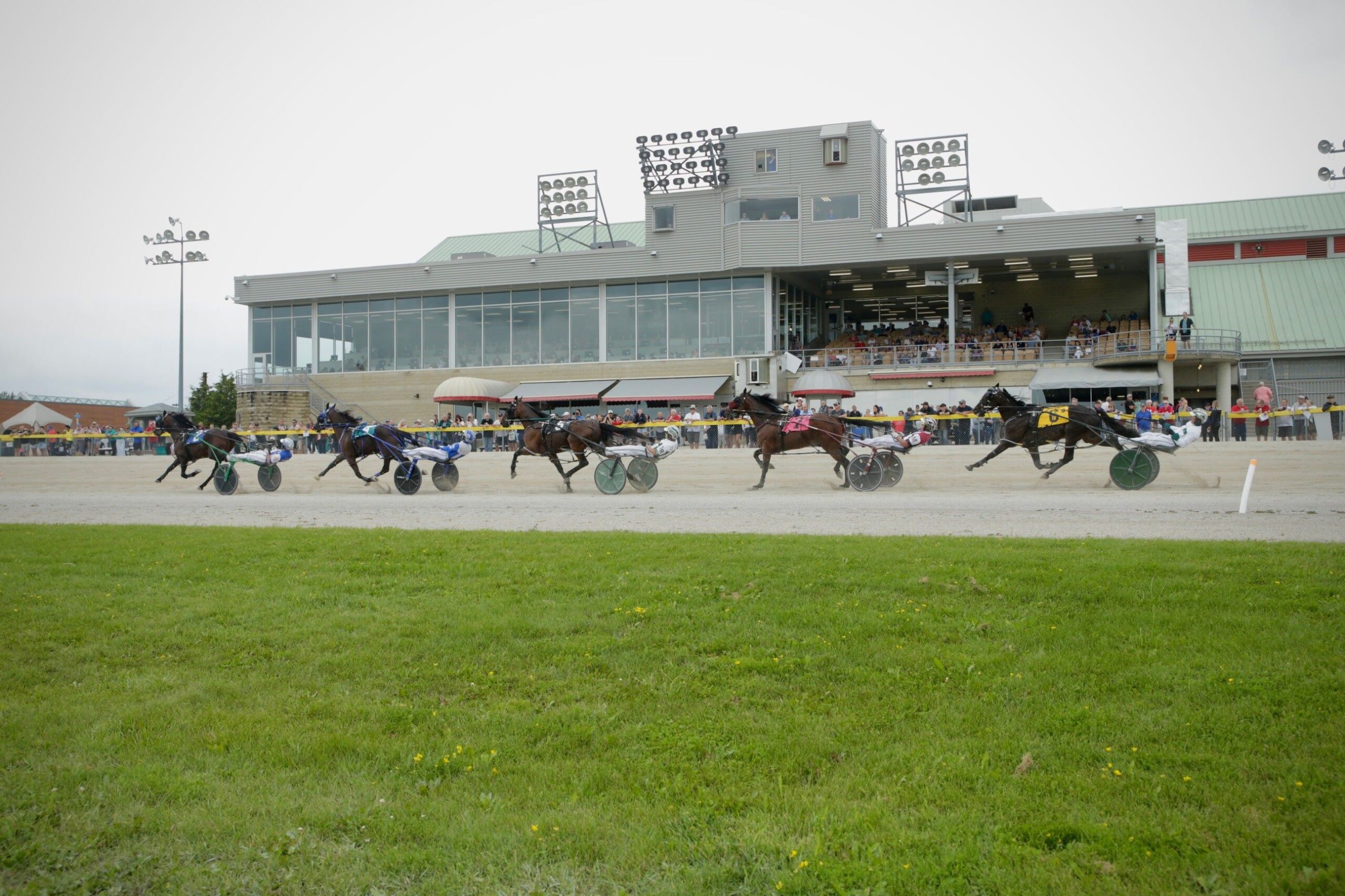 Grand River Raceway's Battle of Waterloo draws 18; 'Belles attracts 17 ...