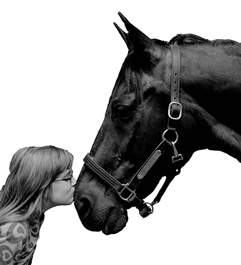 Homepage - Grand River Raceway