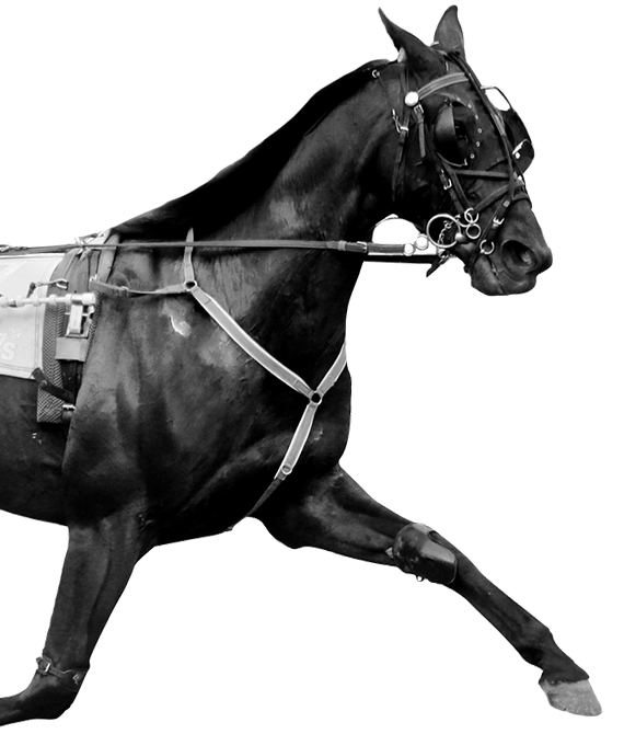 Homepage - Grand River Raceway